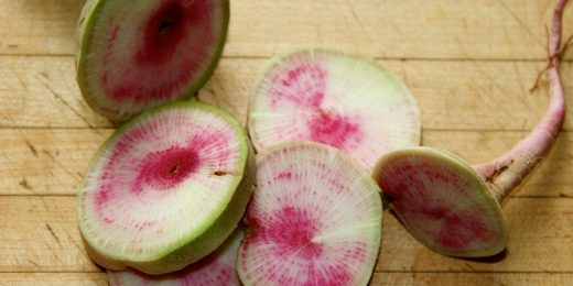 Beauty Heart Radish – Kyle Thom