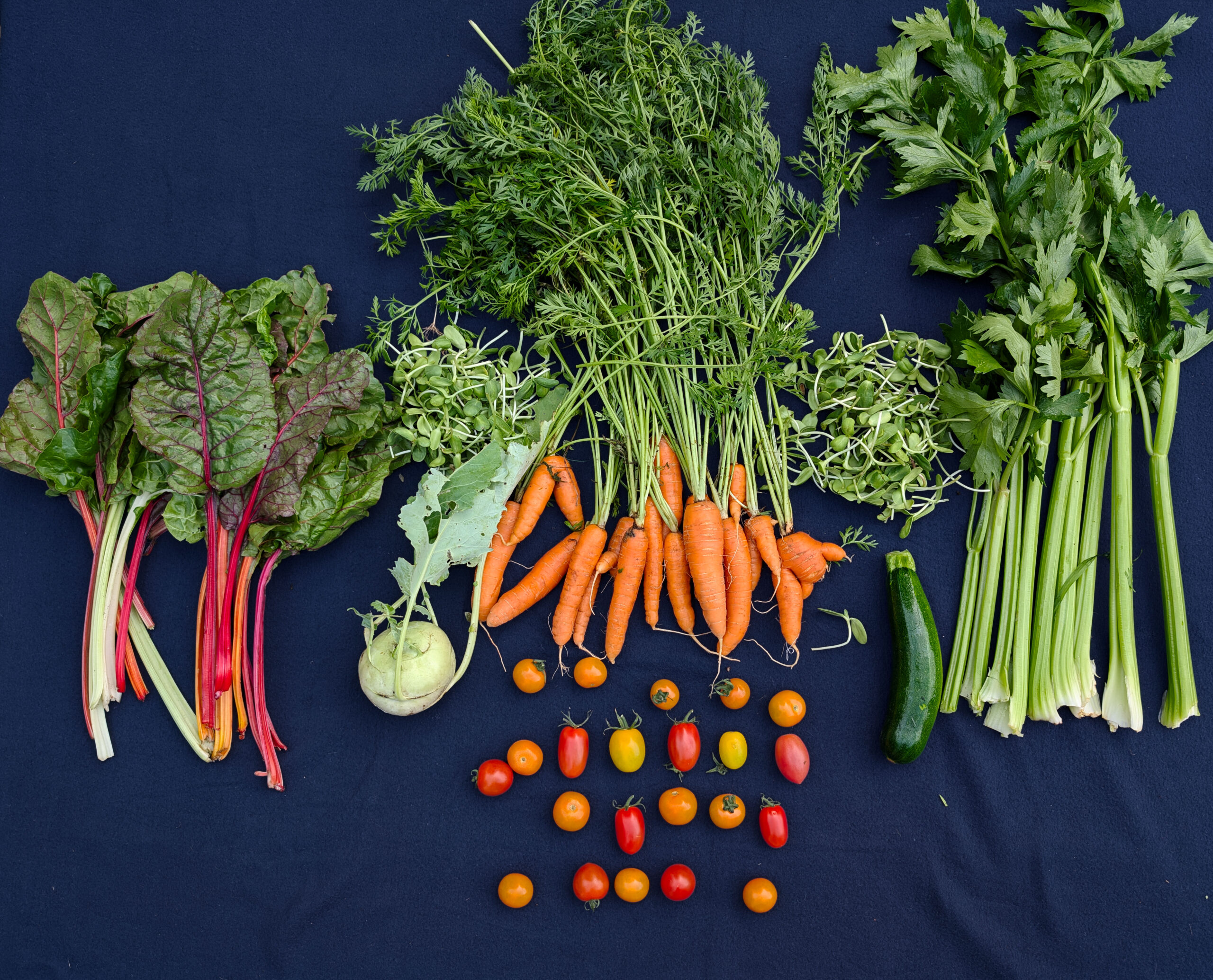 Week #7 – 2024 CSA Season – Kyle Thom