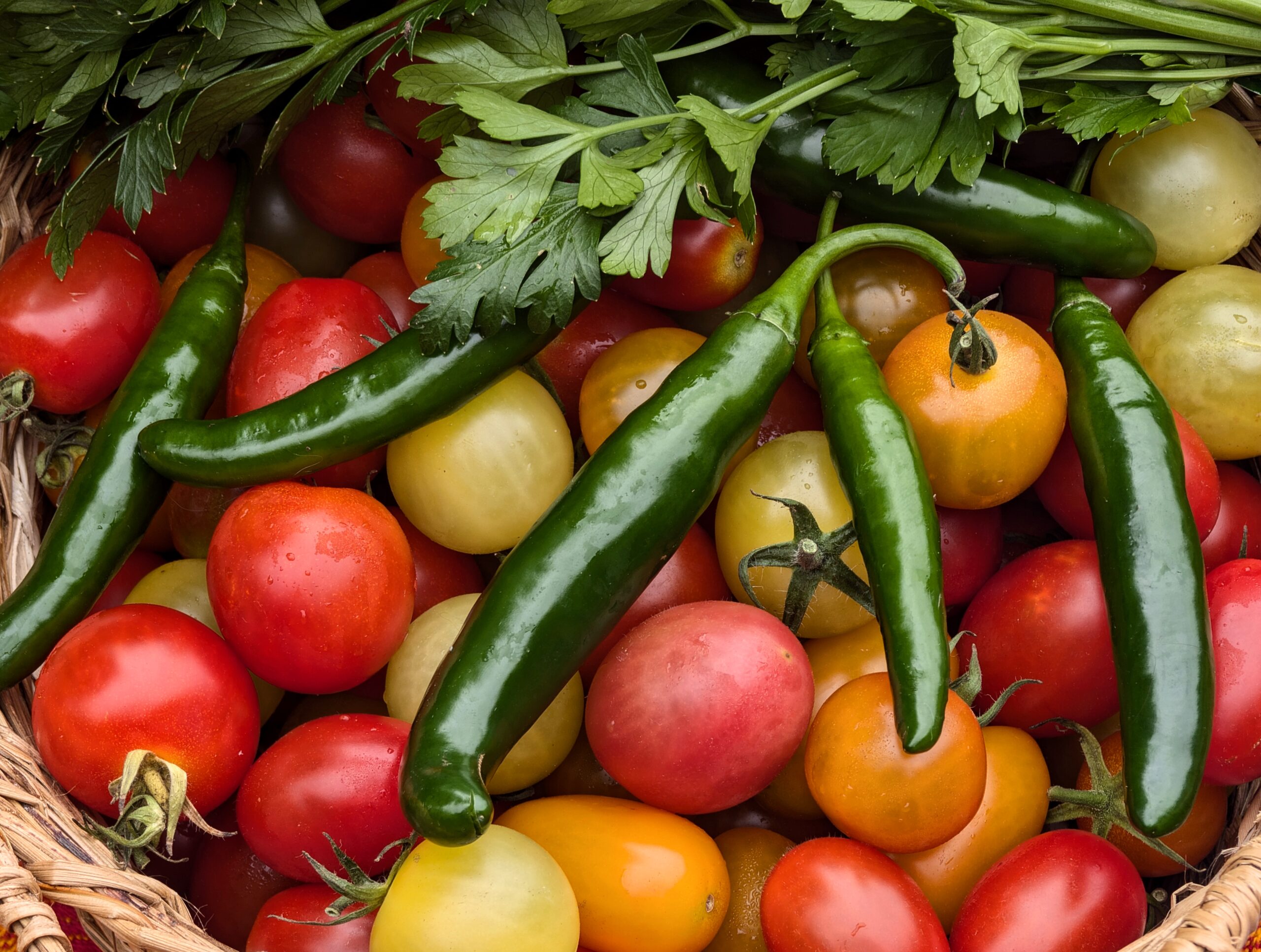 Week #12 – 2024 CSA Season – Kyle Thom