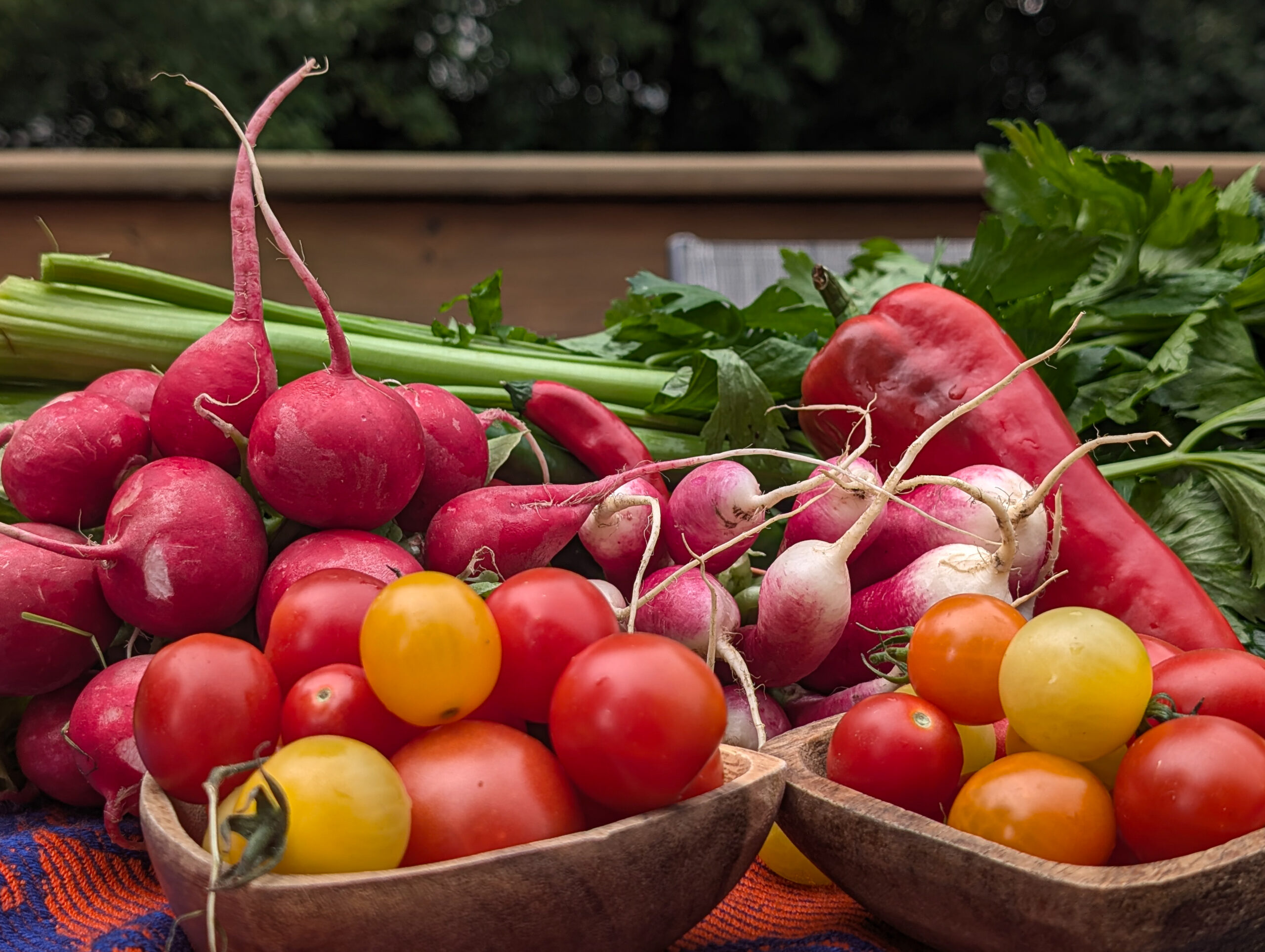 Week #17 – 2024 CSA Season – Kyle Thom