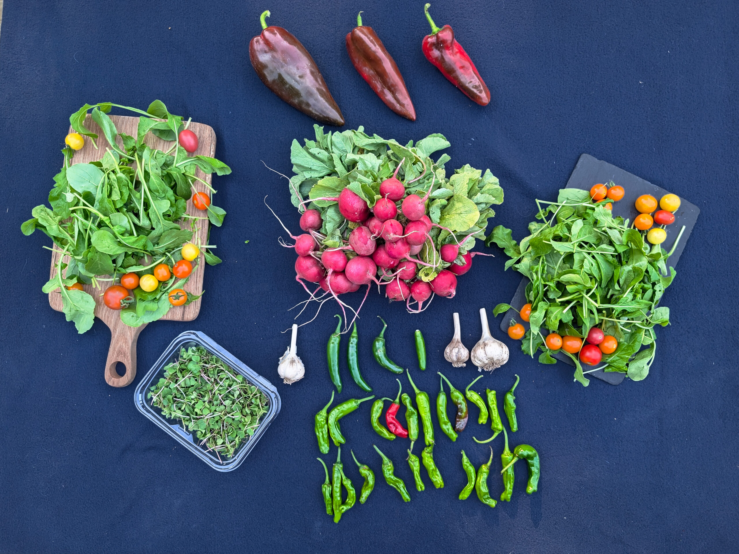 Week #18 – 2024 CSA Season – Kyle Thom