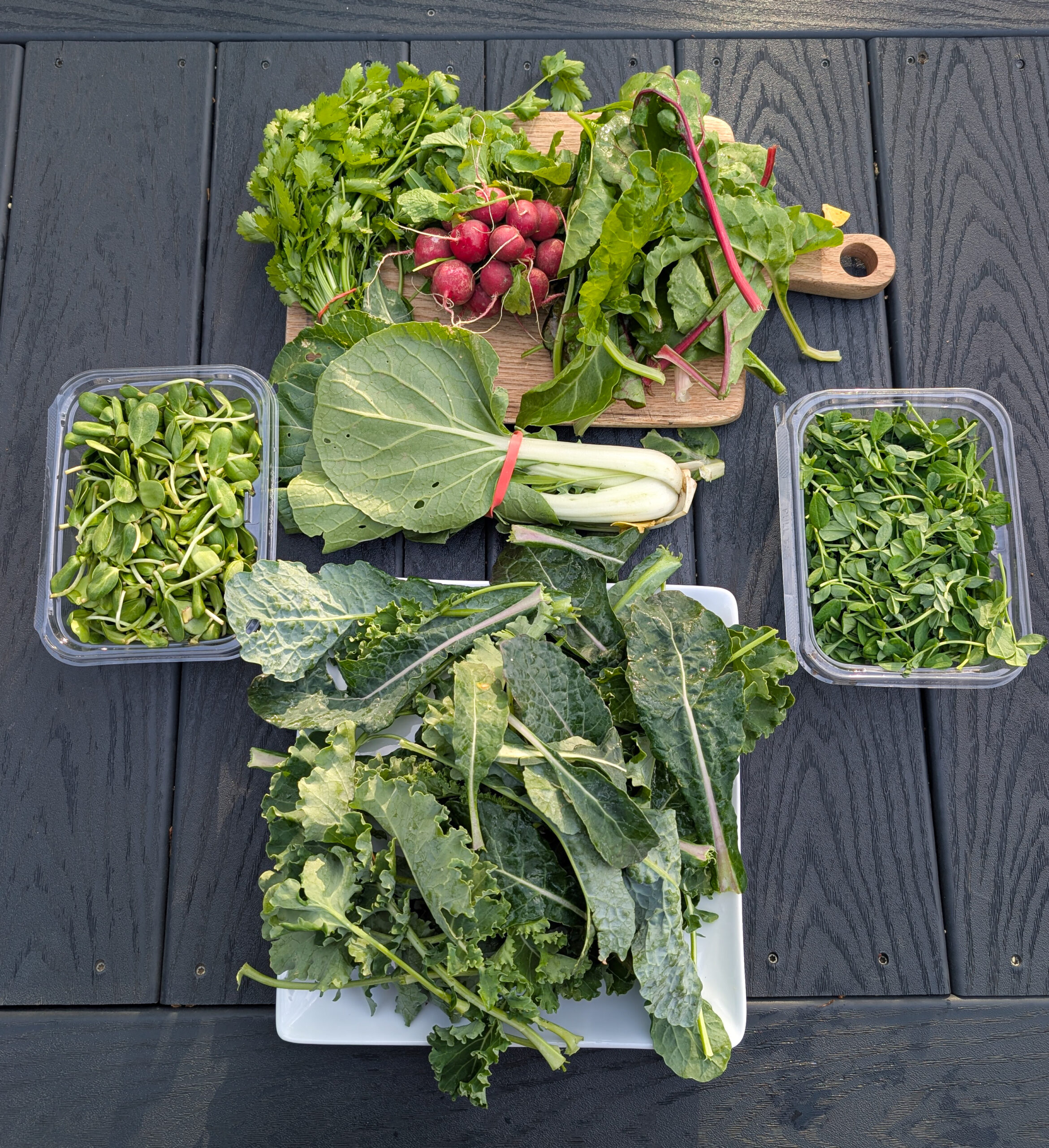 Week #2 – 2025 CSA Season – Kyle Thom