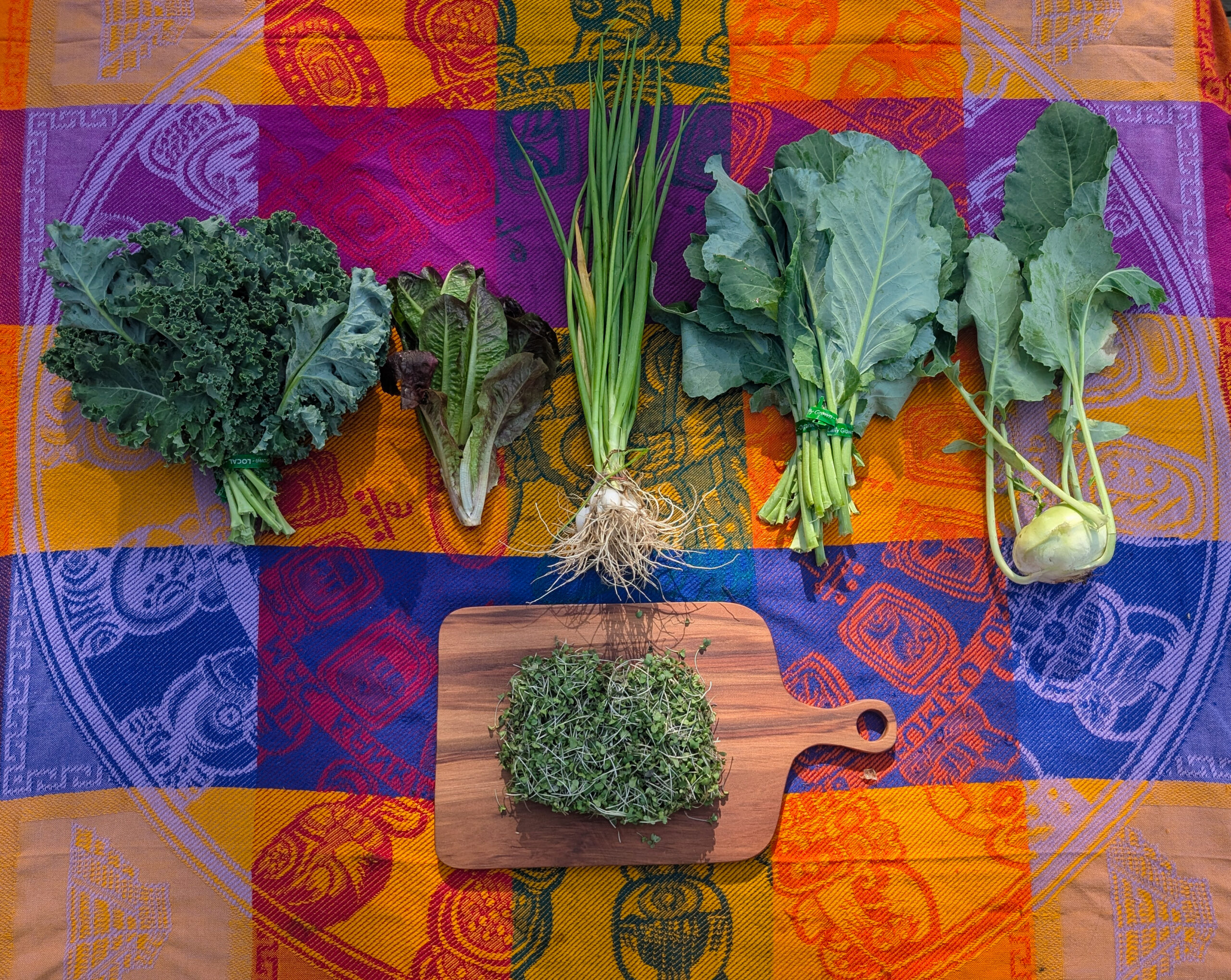 Week #4 – 2025 CSA Season – Kyle Thom